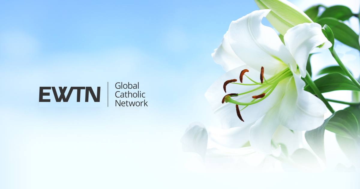 Donate to EWTN | EWTN
