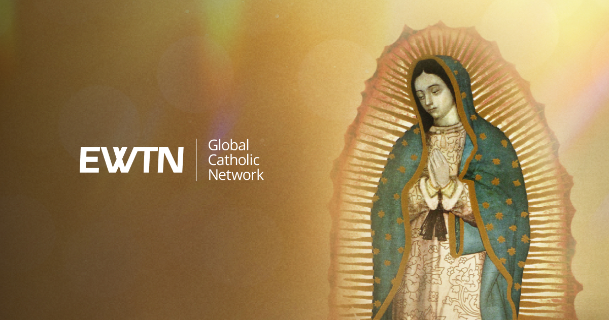 Donate to EWTN | EWTN